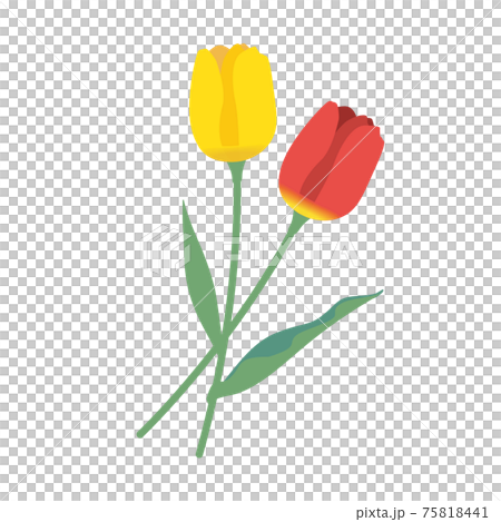 Red and yellow tulip icon - Stock Illustration [75818441] - PIXTA