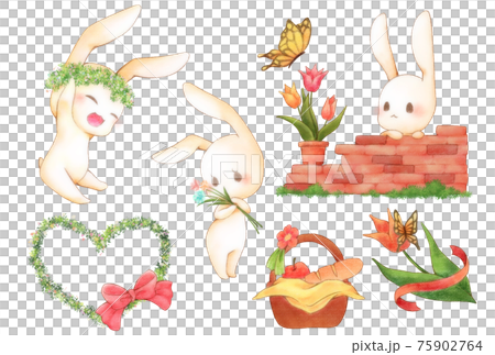 Spring rabbit - Stock Illustration [75902764] - PIXTA