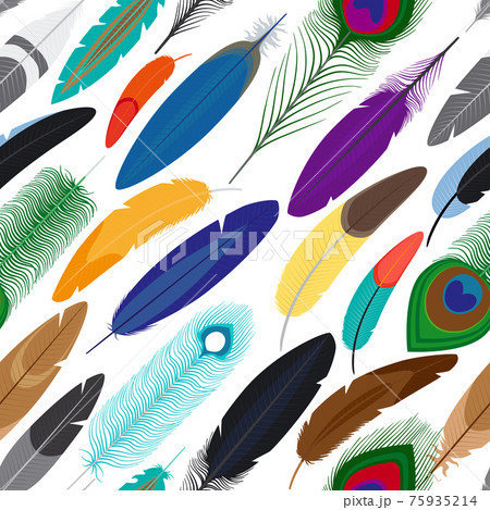 Feathers seamless backgroundのイラスト素材 [75935214] - PIXTA