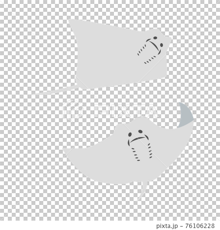 Ray illustration set - Stock Illustration [76106228] - PIXTA