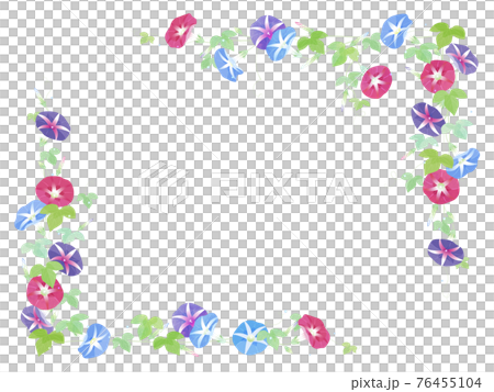 Asagao's frame - Stock Illustration [76455104] - PIXTA