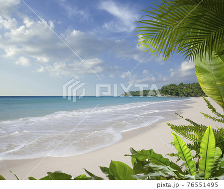 tropic viewの写真素材 [76551495] - PIXTA