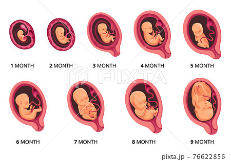 Fertibella Month 2 Clipart