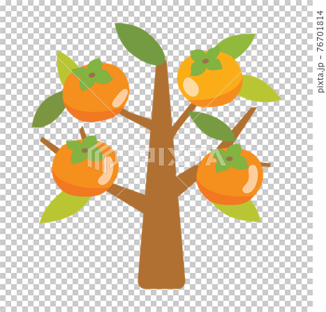 Persimmon tree icon - Stock Illustration [76701814] - PIXTA