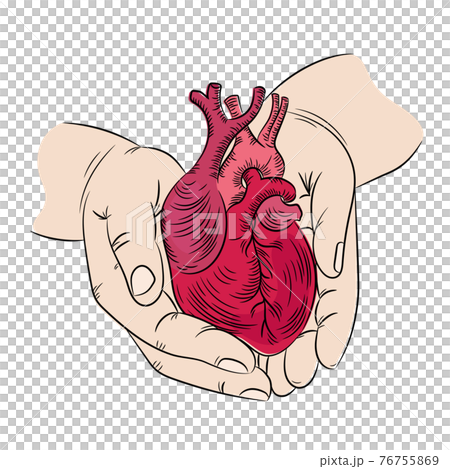 HEART AND HANDS Health Symbol Medicine Human... - Stock Illustration ...
