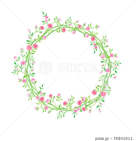 Rose Vine Frame