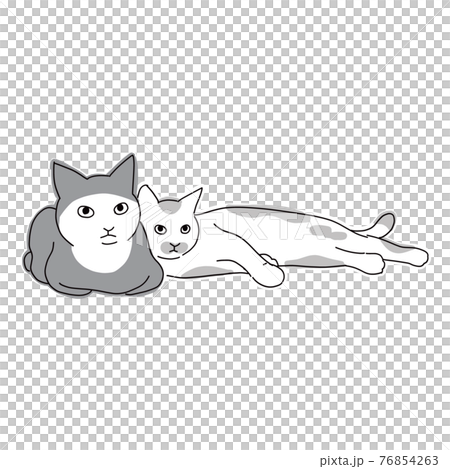 Full-body illustration of two cats lying on... - Stock Illustration ...