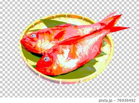 Kaname Taima - Stock Illustration [76936492] - PIXTA