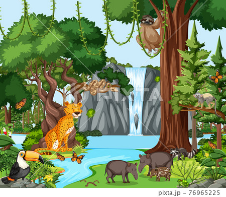 Rainforest Clip Art 10,301 Jungle Trees Clipart Stock Vectors And