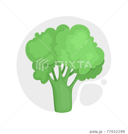 Broccoli with stalks and tops. Composition with...のイラスト素材 [77032299 ...