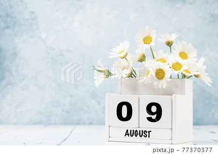 cube calendar for August with daisy flowers over blue | materials ...