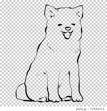 Simple Shiba Inu line drawing - Stock Illustration [77444251] - PIXTA