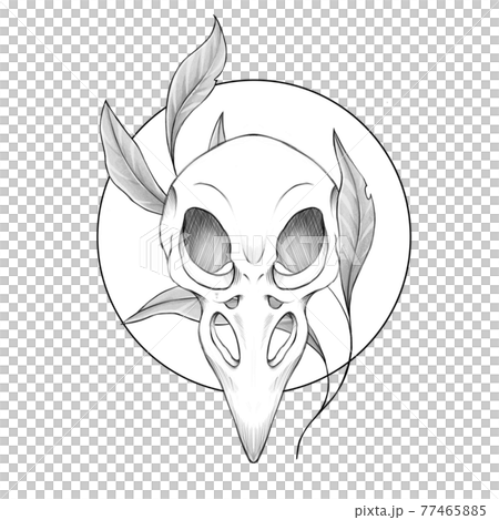 Crow Skull Illustration