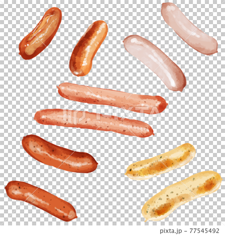 Hand-painted watercolor, 5 types of wiener... - Stock Illustration ...