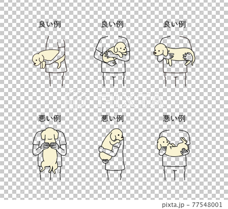 Correct way to hold a dog, wrong way to hold a dog - Stock Illustration ...