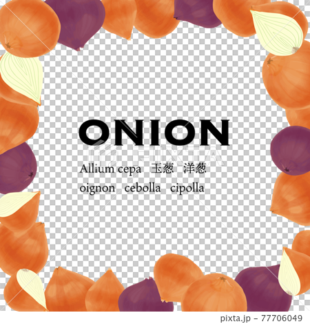 Vector illustration frame of glossy onions and... - Stock Illustration ...
