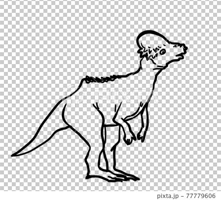 Realistic Pachycephalosaurus line drawing - Stock Illustration ...