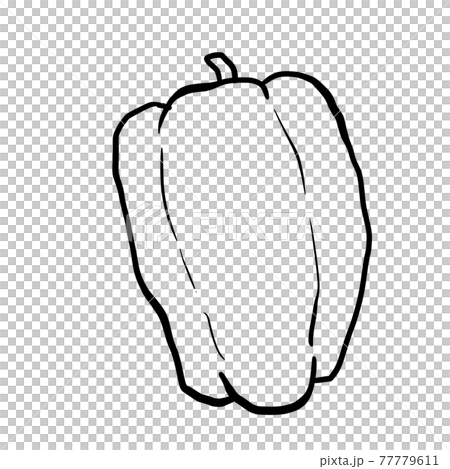 Realistic bell pepper line drawing - Stock Illustration [77779611] - PIXTA