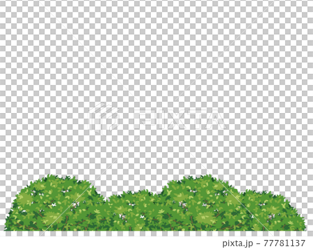 wood, colonnade, treelined - Stock Illustration [77781137] - PIXTA