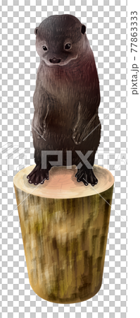 Logs and otters - Stock Illustration [77863333] - PIXTA