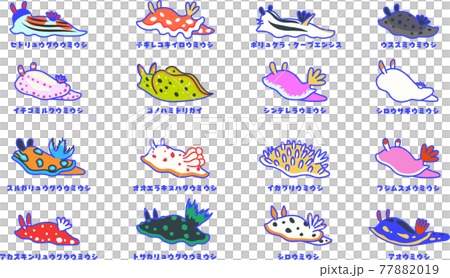 A set of various types of sea slugs - Stock Illustration [77882019] - PIXTA