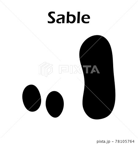 Sable Footprintのイラスト素材 [78105764] - PIXTA