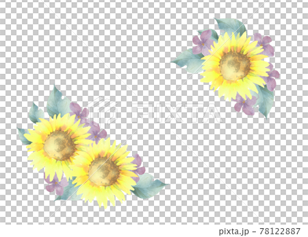Sunflower and violet bouquet - Stock Illustration [78122887] - PIXTA