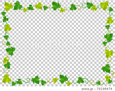 Simple plant ivy frame - Stock Illustration [78199474] - PIXTA