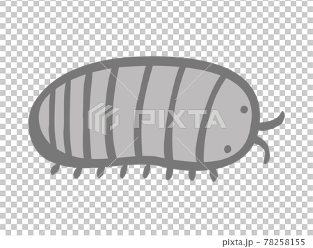 Cute pill bug creature / handwritten illustration - Stock Illustration ...