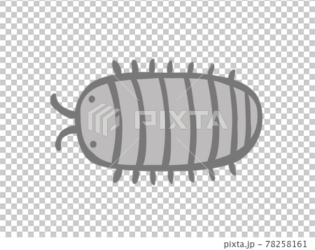 Cute pill bug creature / handwritten illustration - Stock Illustration ...