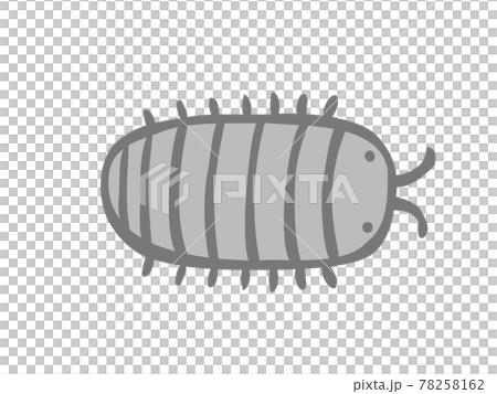 Cute pill bug creature / handwritten illustration - Stock Illustration ...