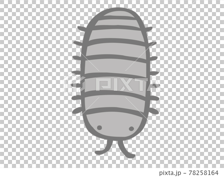 Cute pill bug creature / handwritten illustration - Stock Illustration ...