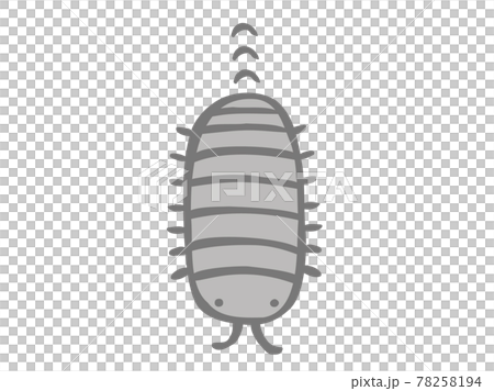 Cute pill bug insect creature / handwritten... - Stock Illustration ...
