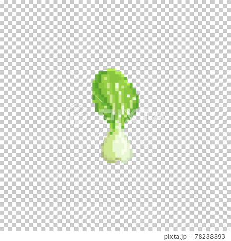 Pixel art pak choi icon. Vector vintage style... - Stock Illustration ...