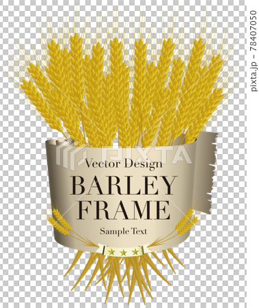 Frame barley and ribbon emblem with sample... - Stock Illustration ...