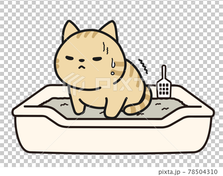 Cat peeing in the toilet - Stock Illustration [78504310] - PIXTA