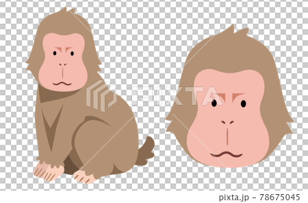 Illustration material of monkey and monkey face - Stock Illustration ...