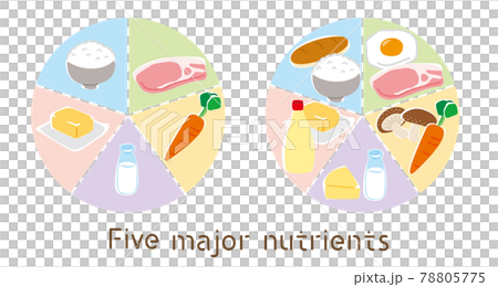 Illustration of a simple five major nutrient table - Stock Illustration ...