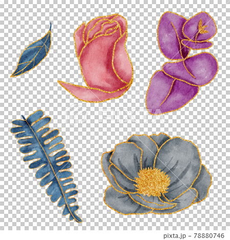 Gold Flower watercolor hand paint collection - Stock Illustration ...