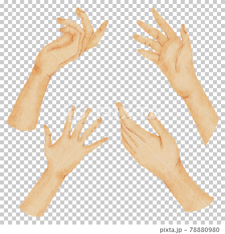 Hands watercolor hand paint collection - Stock Illustration [78880980 ...