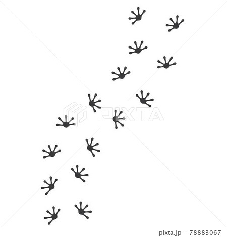 gecko footprint vector illustration designのイラスト素材 [78883067] - PIXTA