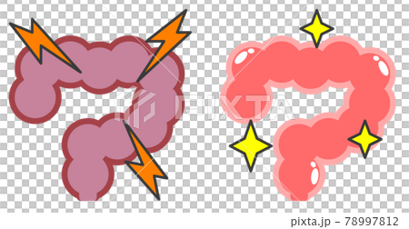 Types of healthy and unhealthy intestines in... - Stock Illustration ...