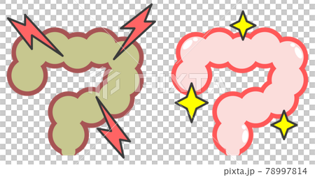 Types of healthy and unhealthy intestines in... - Stock Illustration ...