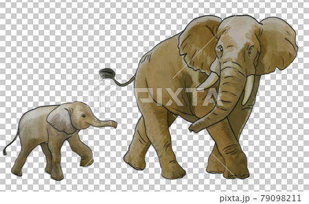 Elephant parent and child - Stock Illustration [79098211] - PIXTA