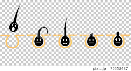 Hair reaction - Stock Illustration [79358487] - PIXTA