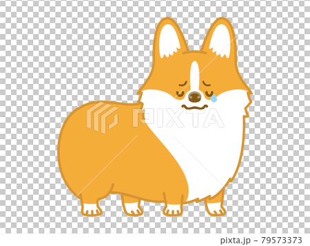 Welsh corgi crying - Stock Illustration [79573373] - PIXTA