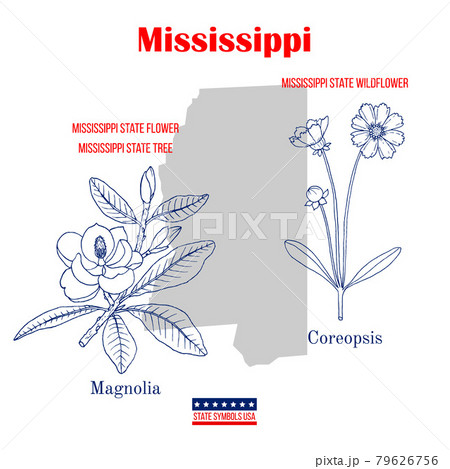 Mississippi State Tree