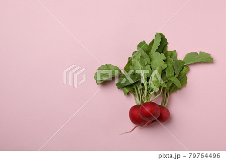 Fresh radish on pink background, space for textの写真素材 [79764496] - PIXTA