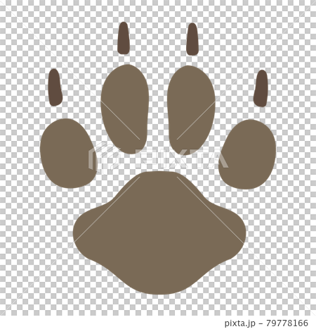 Footprints of the fox - Stock Illustration [79778166] - PIXTA