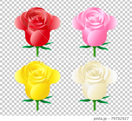 Four color roses - Stock Illustration [79782927] - PIXTA